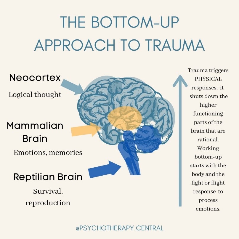 The link between trauma and behaviour - a basic introduction - Wattle Place The link between trauma and behaviour - a basic introduction - Wattle Place
